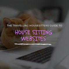 How to Become a Long-Term House Sitter - Long Term House Sitting Guide ...