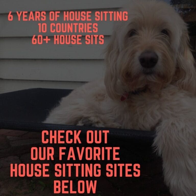 11 Best House Sitting Websites Reviewed and Ranked