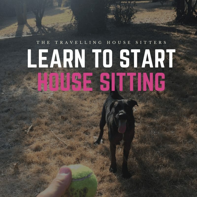 Get Started With House Sitting Here | The Travelling House Sitters
