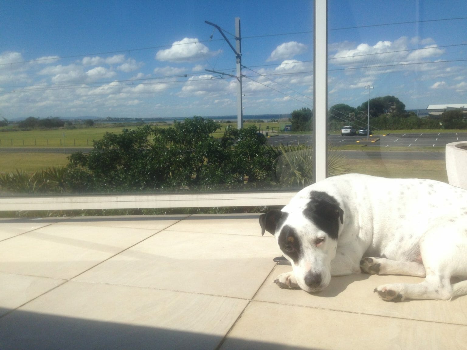 Trusted House Sitters Tiered Membership Plans (We Look at the 3 Levels ...
