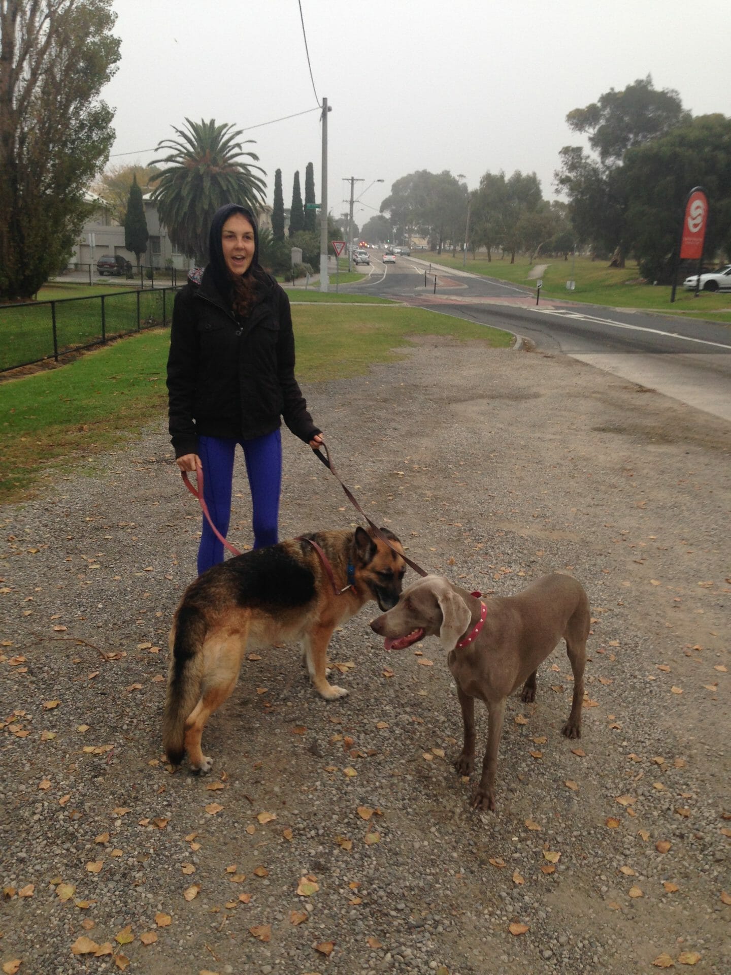 Getting Your First House Sit With Trusted House Sitters (12 Expert Tips ...